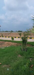 PROJECTS - PNJ Projects